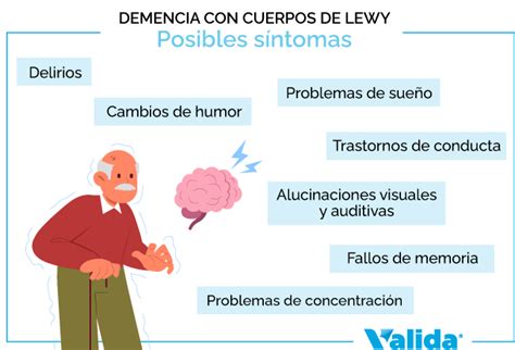 La Demencia Con Cuerpos De Lewy Fases Y Síntomas Valida