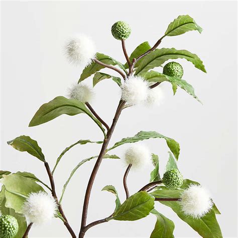 Faux Button Bush Stem 30 Reviews Crate And Barrel Canada