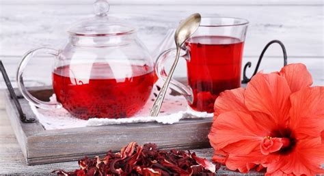Гибискус мускусный красный, способы размножения, заготовка цветов для ...