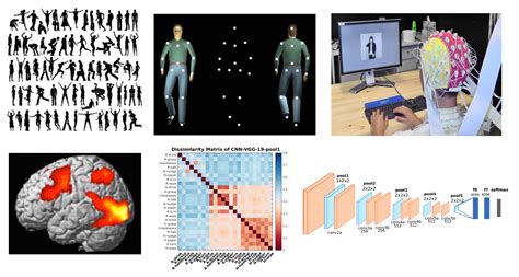 Research Cognitive Computational Neuroscience Ccn Lab