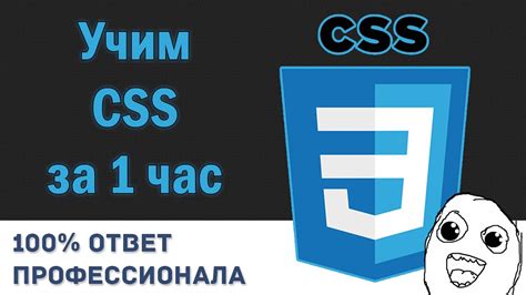 Учим Css за 1 час От Профессионала Youtube