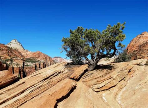 The 11 Worst Heat Waves In World History