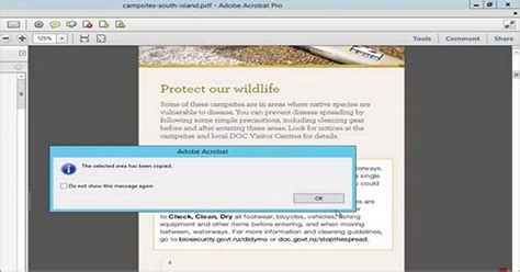 Comparação Entre A Ferramenta De Captura Do Adobe Acrobat E Pdfelement