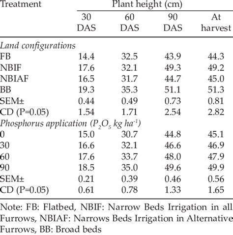 Effect Of Land Configurations And Phosphorus Application On Plant