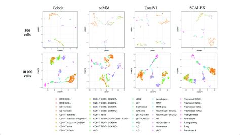 Umap Of The 10 Dimensional Latent Space Of Cobolt Scmm Totalvi And