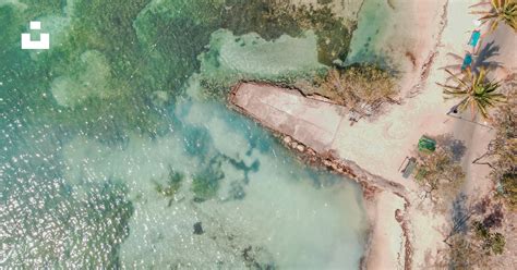 야자수가 있는 모래 해변의 조감도 사진 Unsplash의 무료 유틸라 이미지