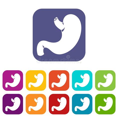 Stomach Pictogrammen Tekenstijl Vector Illustratie Illustration Of