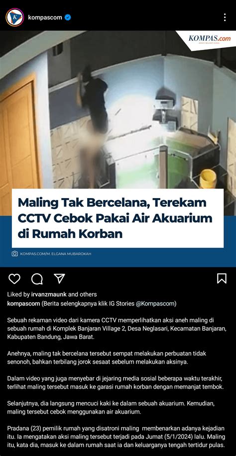 Maling Tak Bercelana Terekam Cctv Cebok Pakai Air Akuarium Di Rumah
