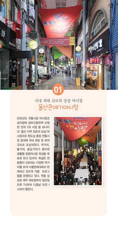 포트폴리오 2017 울산 중구 관광가이드북 제작