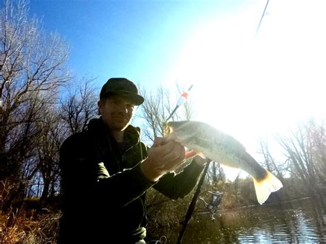 The Best Winter Bass Fishing Techniques Kraken Bass
