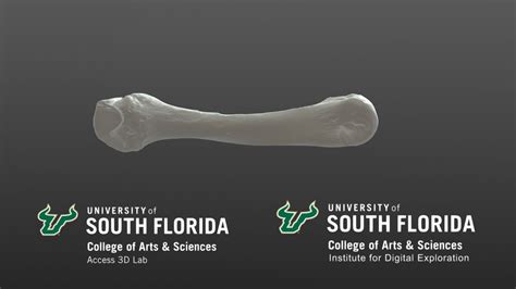 Left Metacarpal 2 82 3d Model By Access3d 98211e8 Sketchfab