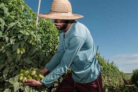 Goiás é O Maior Gerador De Empregos No Agronegócio Do Centro Oeste