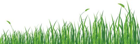 Трава поляны Кира скрап Png ПНГ клипарт на прозрачном фоне