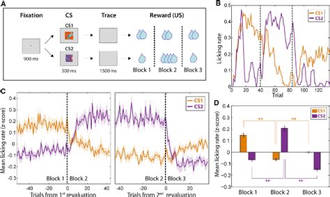 Figure 1 From Distinct Roles For The Amygdala And Orbitofrontal Cortex In Representing The