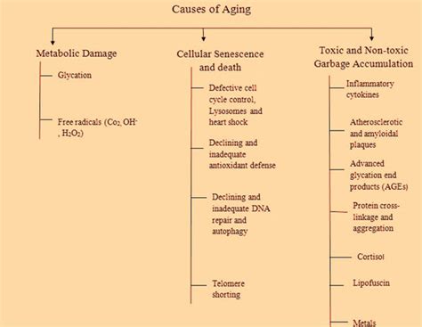 Mechanisms Of Ageing And Development