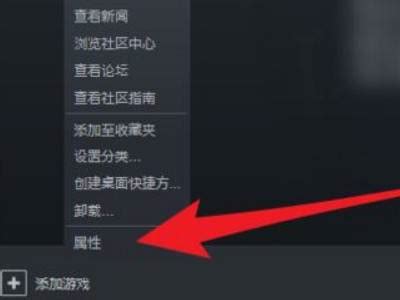 Steam