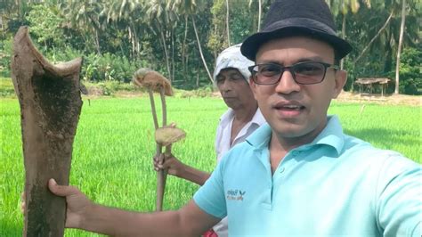 වී වගවට ජයිව පාලන ක්‍රමයක් Youtube