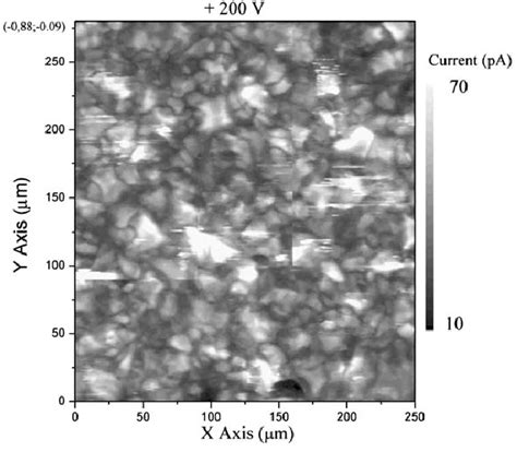 Assemblage Of Nine 100 Â 100 Lm 2 Maps Extracted From The General Map