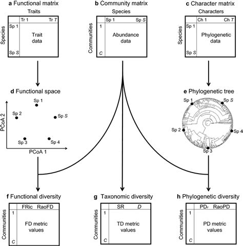 Framework For Computing Functional Taxonomic And Phylogenetic