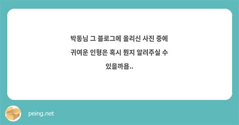 박동님 그 블로그에 올리신 사진 중에 귀여운 인형은 혹시 뭔지 알려주실 수 있을까욥 Peing 質問箱