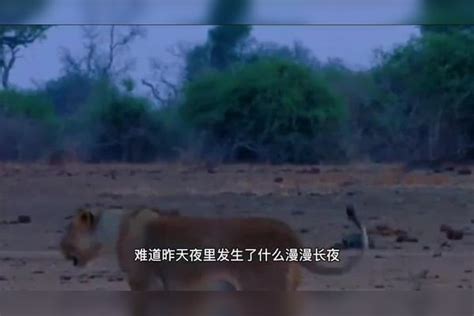 难道昨天夜里发生了什么慢慢长夜？什么