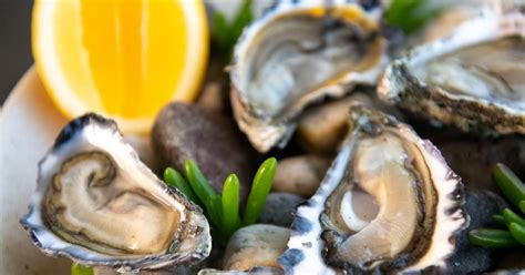 Discover The Best Restaurants In Gippsland