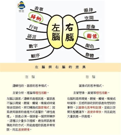 最佳國中社會科參考書開竅寶典全套5050元下標區內含歷史地理公民三科利用心智概念圖來學習社會科事半而功倍 Yahoo奇摩拍賣