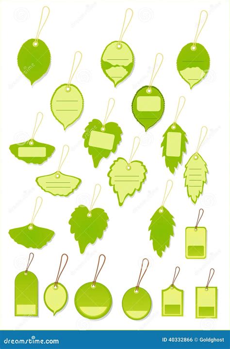 Etiqueta Verde De La Etiqueta De La Hoja Ilustración Del Vector