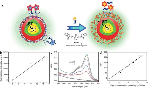 Enhancing Dye‐sensitization Efficiency In Aqueous Phase Through