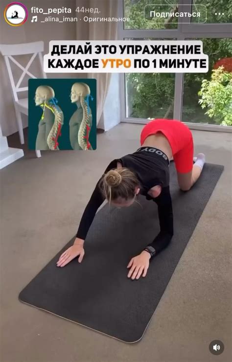 Пин от пользователя Юлия на доске на спорте Тренировка рук Короткие тренировки Утренняя