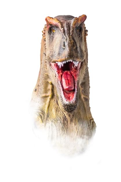 Premium Photo The Head Of Carcharodontosaurus Dinosaur On Isolated Background