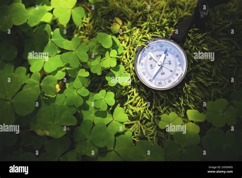 Close Up Handmade Wooden Compass Tree Shadows On Green Nature Grass