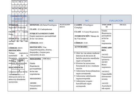 Diagnostico Limpieza Ineficaz Diagnosticos Nanda Noc Nicevaluacion