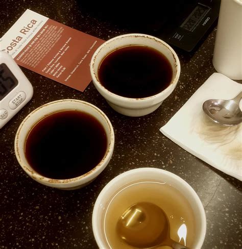 코스타리카 비스타 알 바예 파델 화이트 허니 단맛이 Eternalcoffeeroasters