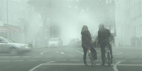 Model Adaptation With Synthetic And Real Data For Semantic Dense Foggy Scene Understanding