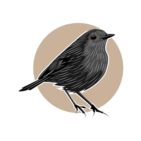 Ilustração Vetorial De Melro Desenhada à Mão Isolada Em Um Fundo Branco Vetor Premium