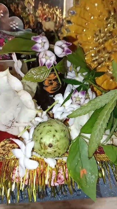 ॐ नम शिवाय 🙏🙏☘️☘️🌺🌸🌸 सावन माहिने का पहला सोमवार ☘️☘️☘️🌸🌸🌸 Youtube