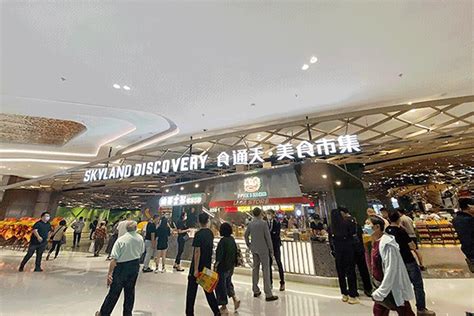 阿凡达设计团队又一力作，在cdf海口国际免税城造了一片“秘林”