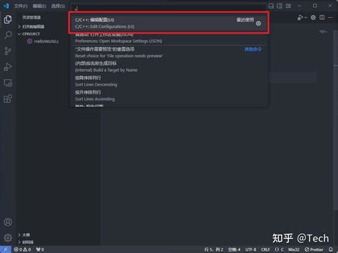 Visual Studio Code C