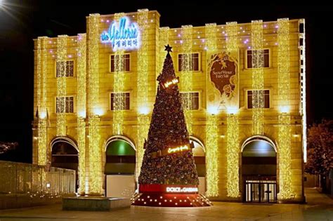 갤러리아百 돌체앤가바나와 홀리데이 장식 선봬