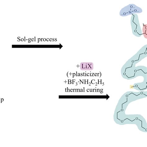 Sem Micrographs A B D E And Eds Fluorine Mappings C F Of Cross