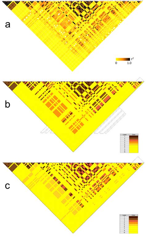 LD Plot Versus Matrix Of MRCA Levels A LD Plot Matrix Of Pairwise Download Scientific