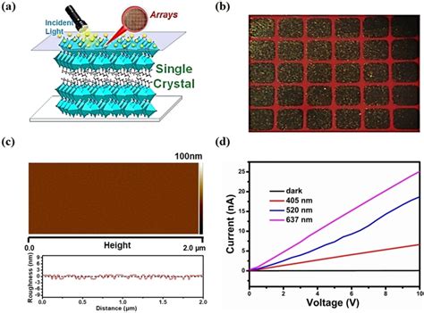 A Schematic Diagram And B Photo For The Planar Array Electrode Download Scientific Diagram