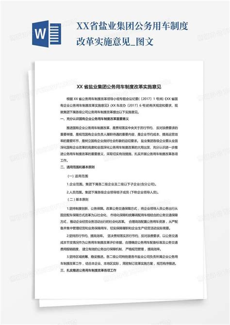 Xx省盐业集团公务用车制度改革实施意见图文word模板下载编号loxowzpe熊猫办公
