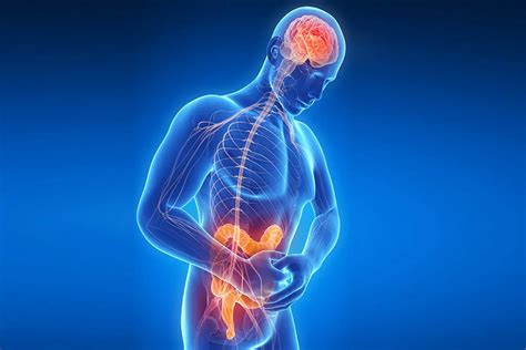 Your Gut Brain Axis And Your Health Gut Brain Healing With Professor