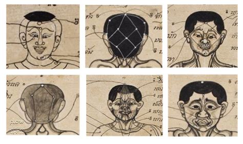 Traditional Face Points Used In Thai Acupressure And Thai Massage
