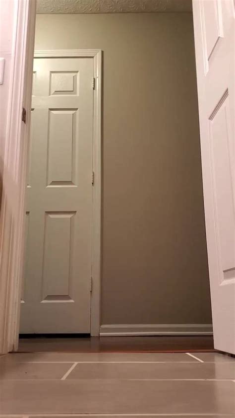 More Of Her Silly Mating Dance Xpost I Love It Scrolller