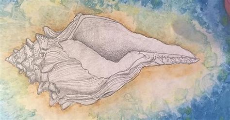 Shell Album On Imgur