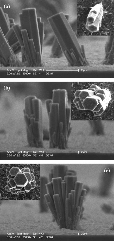 Renucleation And Sequential Growth Of Zno Nanorod Arrays Perpendicular Download Scientific