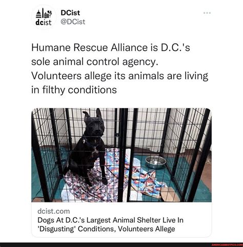 Multiple Volunteers At The Humane Rescue Alliance The Regions Largest